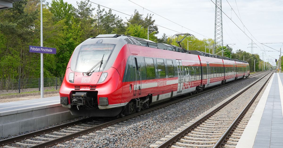 Ein abwechslungsreiches Jahr 2024 geht zu Ende