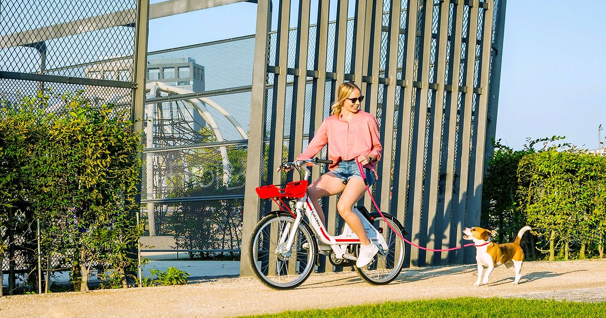 Mit dem Rad in den Zug – so geht’s entspannt